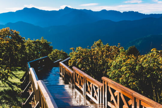 Alishan National Scenic Area: Discovering Taiwan’s Misty Mountains ...